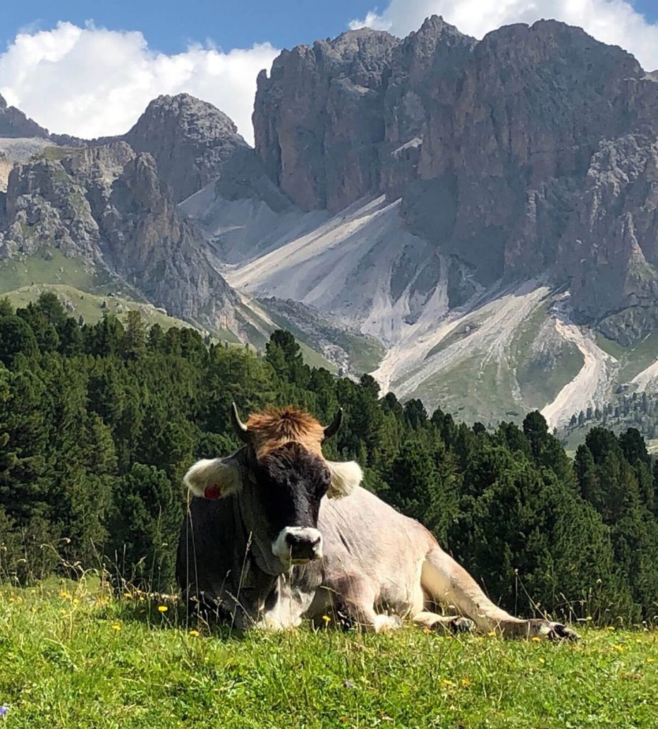 Tyrolean Alps Hiking Tour – Dolomites & Tyrol Adventure